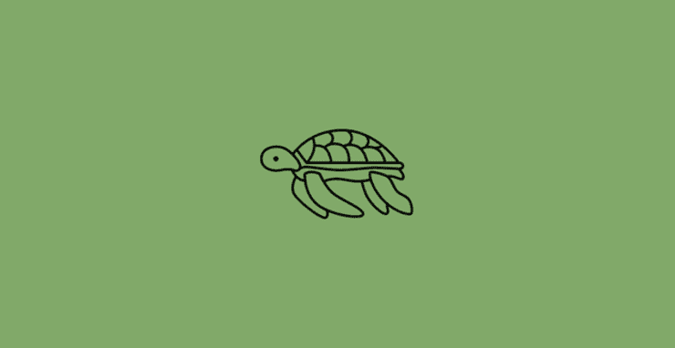 World Turtle Day 2026 | Event Information | Twinkl USA